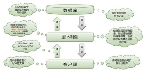 SQL注入学习笔记SQL原理 戚源 博客园