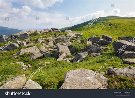 Rocky Grassy Landscape