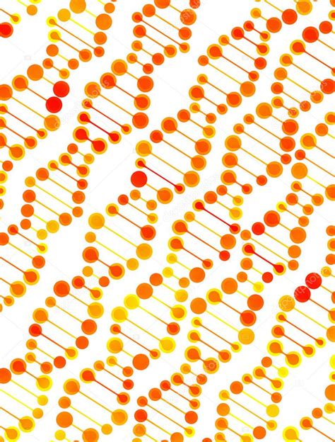 Structure Of The Dna Molecule Stock Vector Image By ©palau83 35318109