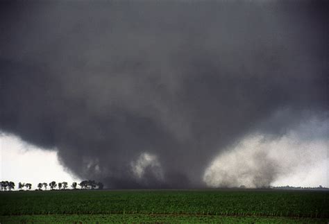 Multiple Vortex Tornadoes