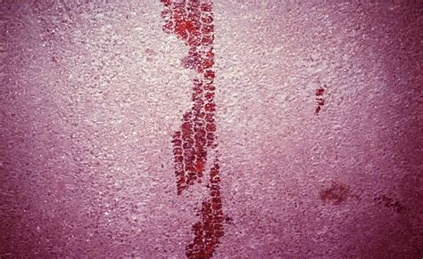 Mona Watson And Michael Howell Snapped Killer Couples Photos