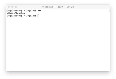 mac terminal 终端：入门指南及进阶技巧 苹果的terminal程序 csdn博客