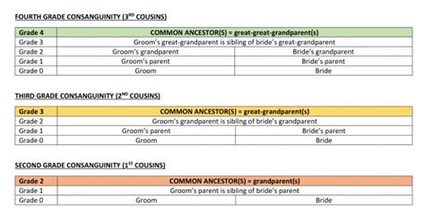 Kissing Cousins Marital Dispensations Consanguinity Affinity