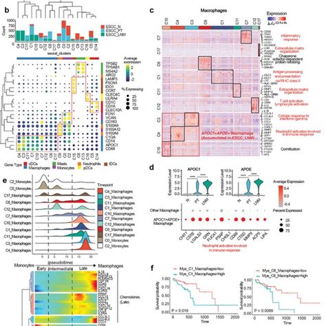 Expression And Development Of Myeloid‐derived Cells In Escc A Umap Download Scientific