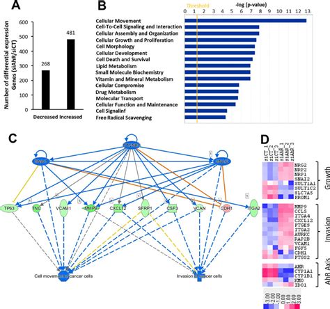 Transcriptome Analysis Resulting From Loss Of The Ahr Rnai In 15 037