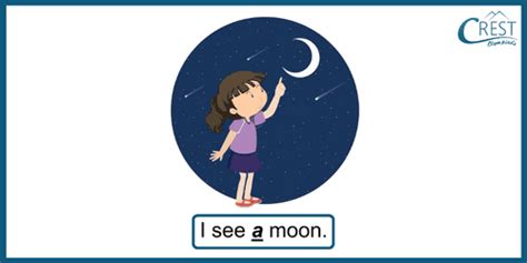 Class Kg Articles Key Concepts Explained Crest Olympiads