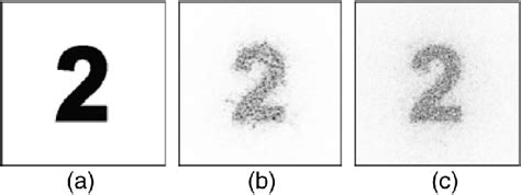 imaging of an input pattern over 10 cm of random fiber a input download scientific diagram