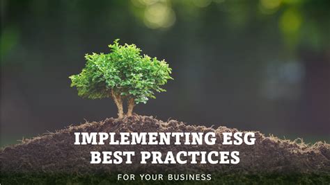 Esg Best Practices For Your Business