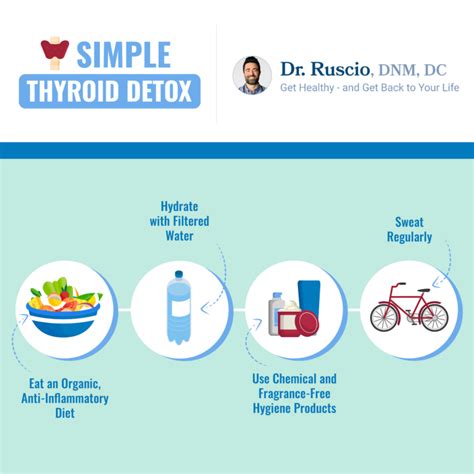 Do You Need A Thyroid Detox Dr Michael Ruscio Dc