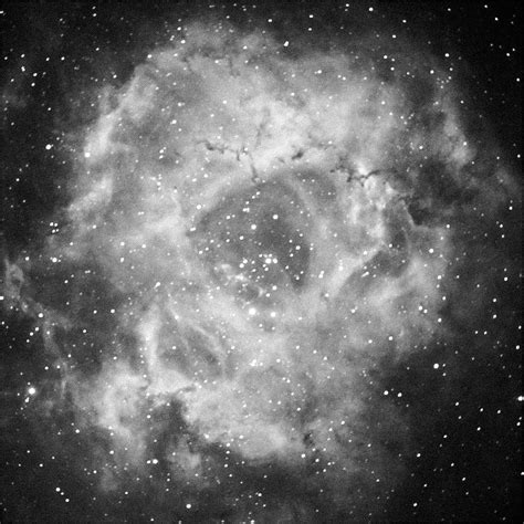 Rossette Deep Sky Photo Gallery Cloudy Nights