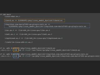 Golang Execution Modes PPT