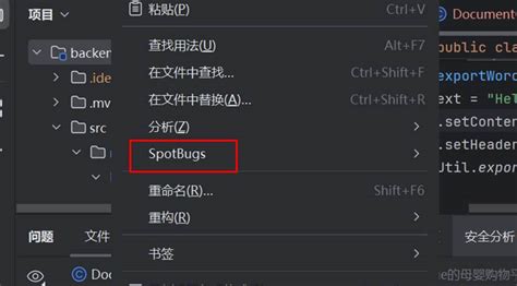 Findbugs和spotbugs的下载安装使用spotbugs怎么用 Csdn博客