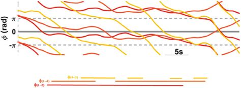 2 coordination dynamics of multiple people engaging in a sensorimotor