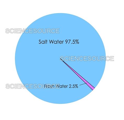 Salt Water Vs Fresh Water Infographi Stock Image Science Source Images