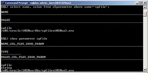 Working With The Oracle Spfile Darryl Hickson Dba