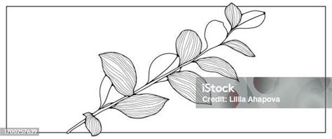 흰색 바탕에 나뭇잎이 있는 나뭇가지의 검은색 윤곽선 색칠을 위한 식물 배경 다양한 디자인과 패턴을 만듭니다 나뭇잎이 있는 가지의 실루엣 0명에 대한 스톡 벡터 아트 및 기타