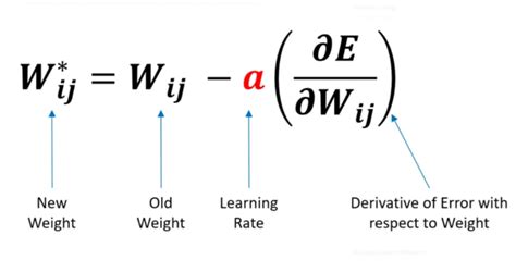 Rectified Linear Unit Relu Activation Praudyog