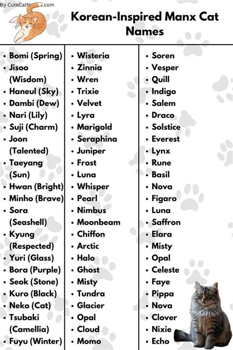 Korean Inspired Manx Cat Names Unique And Meaningful Ideas Manx Cat