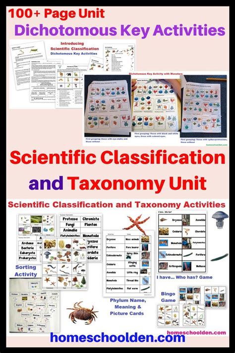 Scientific Classification And Taxonomy Worksheets And Labs Artofit