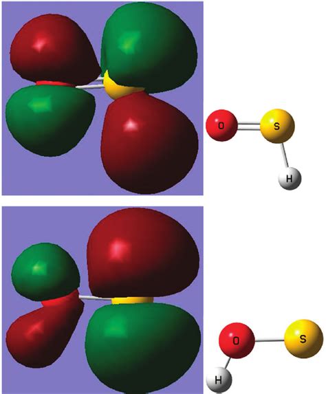 Homo Of Hso þ Top And Soh þ Bottom Download Scientific Diagram