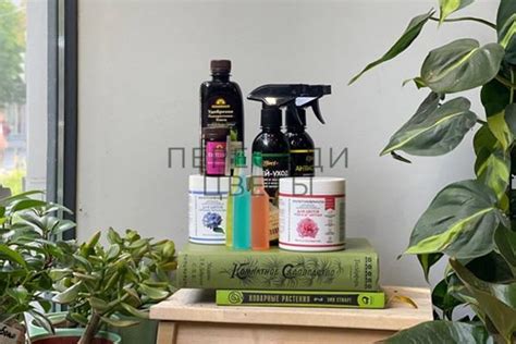 ☘ Удобрения для комнатных растений ☘