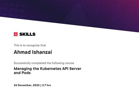 Finished Kubernetes Excellence Api Server And Pods Dr Ahmad Ishanzai Bsc Post Graduate
