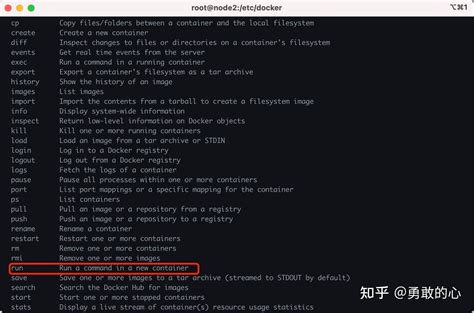 Docker从入门到精通四常用命令 知乎