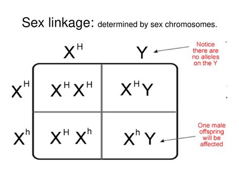 Exceptions To Mendelian Inheritance Ppt Download