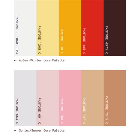 Color Palettes For 2024