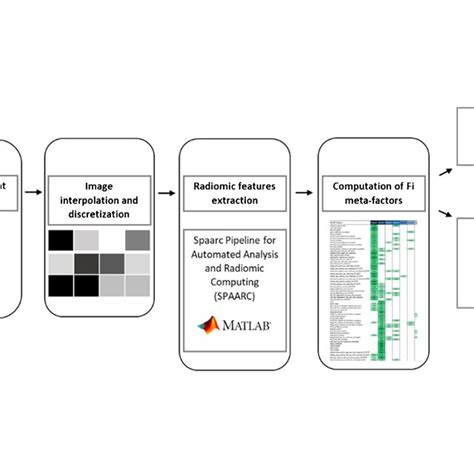 Of The Workflow Followed For Models Validation Download Scientific
