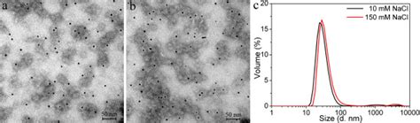 Encapsulation Of Polymer Coated Gnps Bearing Amine Functional Groups Download Scientific