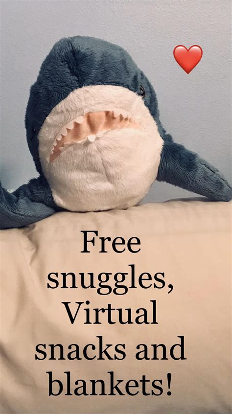 Enjoy the cuddles! : r/BLAHAJ