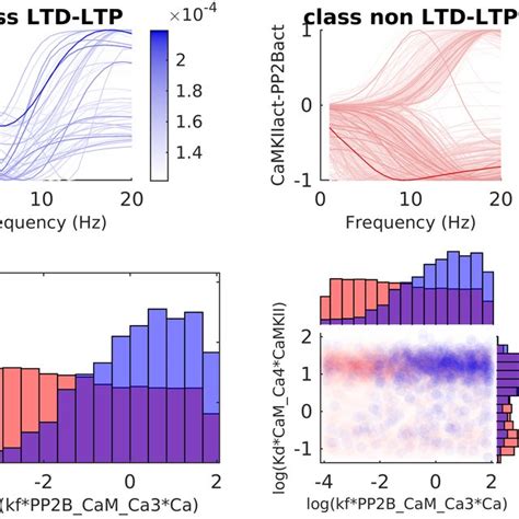 Classification Of Predictions And Corresponding Subdivision Of The