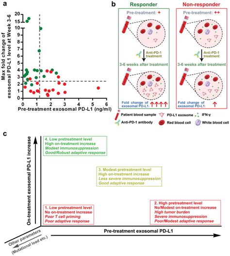 Exosomal Pd L1 Contributes To Immunosuppression And Is Associated With