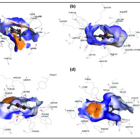3d Interaction Analysis For Four Top Ranked Tq Protein Docked Systems