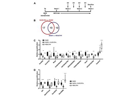 human liver stem cell derived extracellular vesicles modulate long non
