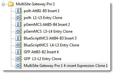 Try It MultiSite Gateway Pro Cloning User Guide To SeqBuilder Pro