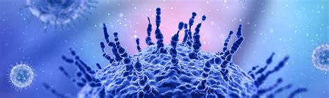 ინფექციური დაავადებები ნიუ ჰოსპიტალსი