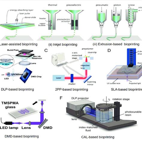 A A Schematic Diagram Of The 3d Bioprinting Of The Porous Hydrogel Download Scientific