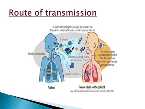 Prevention Of Cross Infection1 Pptx Infectious Diseases Diseases