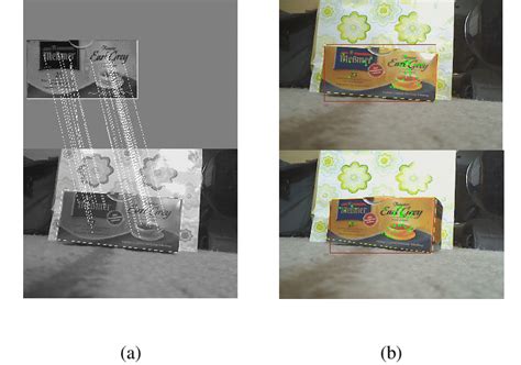 a illustrates the object recognition process employing surf features