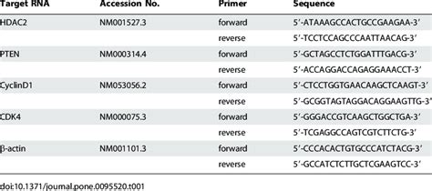 Primer Sequences Used For Reverse Transcriptase Polymerase Chain