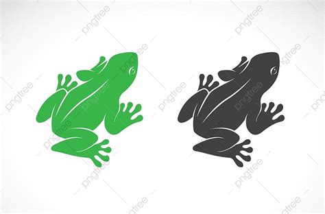 Dart Frog Vector PNG Vector PSD And Clipart With Transparent Background For Free Download