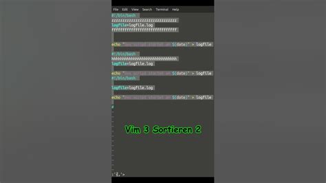 Vim 3 Sortieren 2 Mibamathematik Mibalinuxtech Youtube