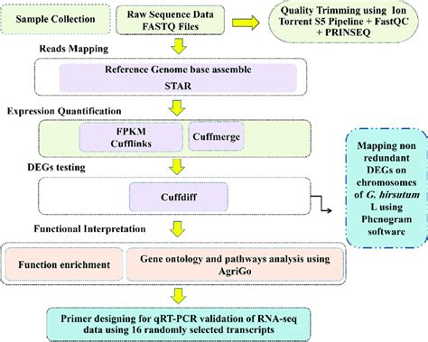 a detailed workflow performed in identification of degs in cgms