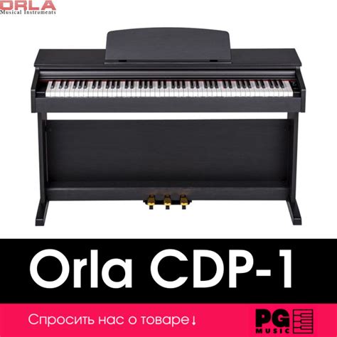 Цифровое пианино Orla CDP1 - купить с доставкой по выгодным ценам в ...
