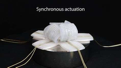 Movie S8 A Programmable Flower Soft Electromagnetic Actuators Youtube