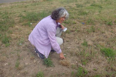 Esa Measuring Soil Moisture
