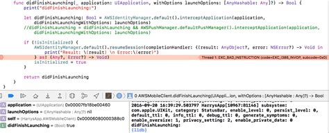 Swift AWS IOS App Crashes Stack Overflow