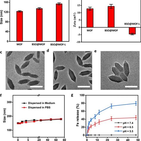 Characterization Of The Mof Nanoparticles A Hydrodynamic Size Of Mof Download Scientific